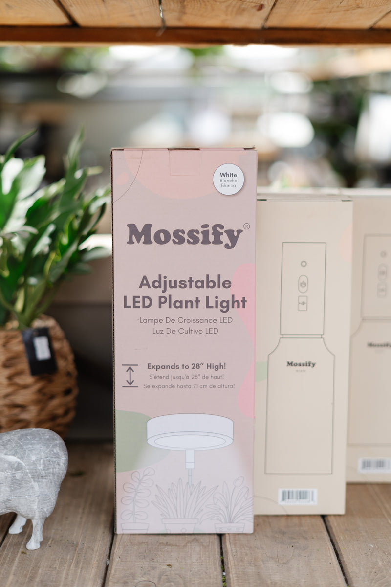 Mossify – Anna's Garden, Home & Wellness