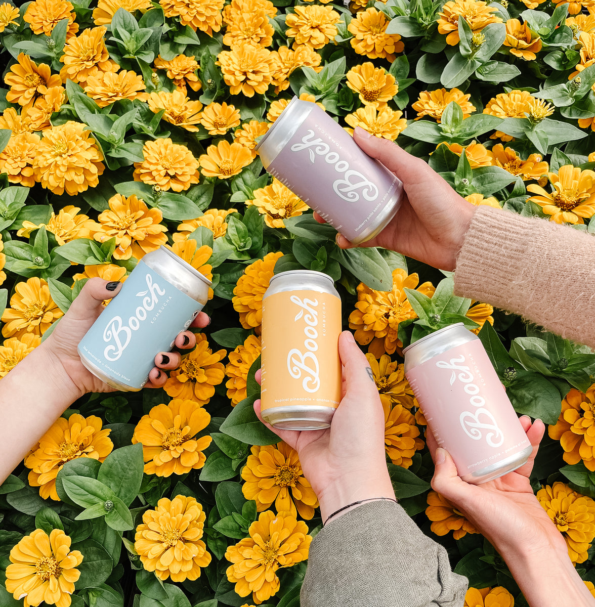 Booch: Organic Kombucha – Anna's Garden, Home & Wellness