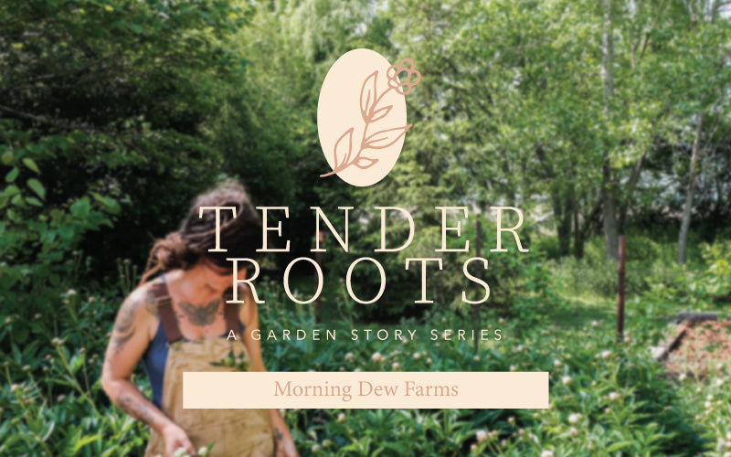 Tender Roots: Morning Dew Farms – Anna's Garden, Home & Wellness