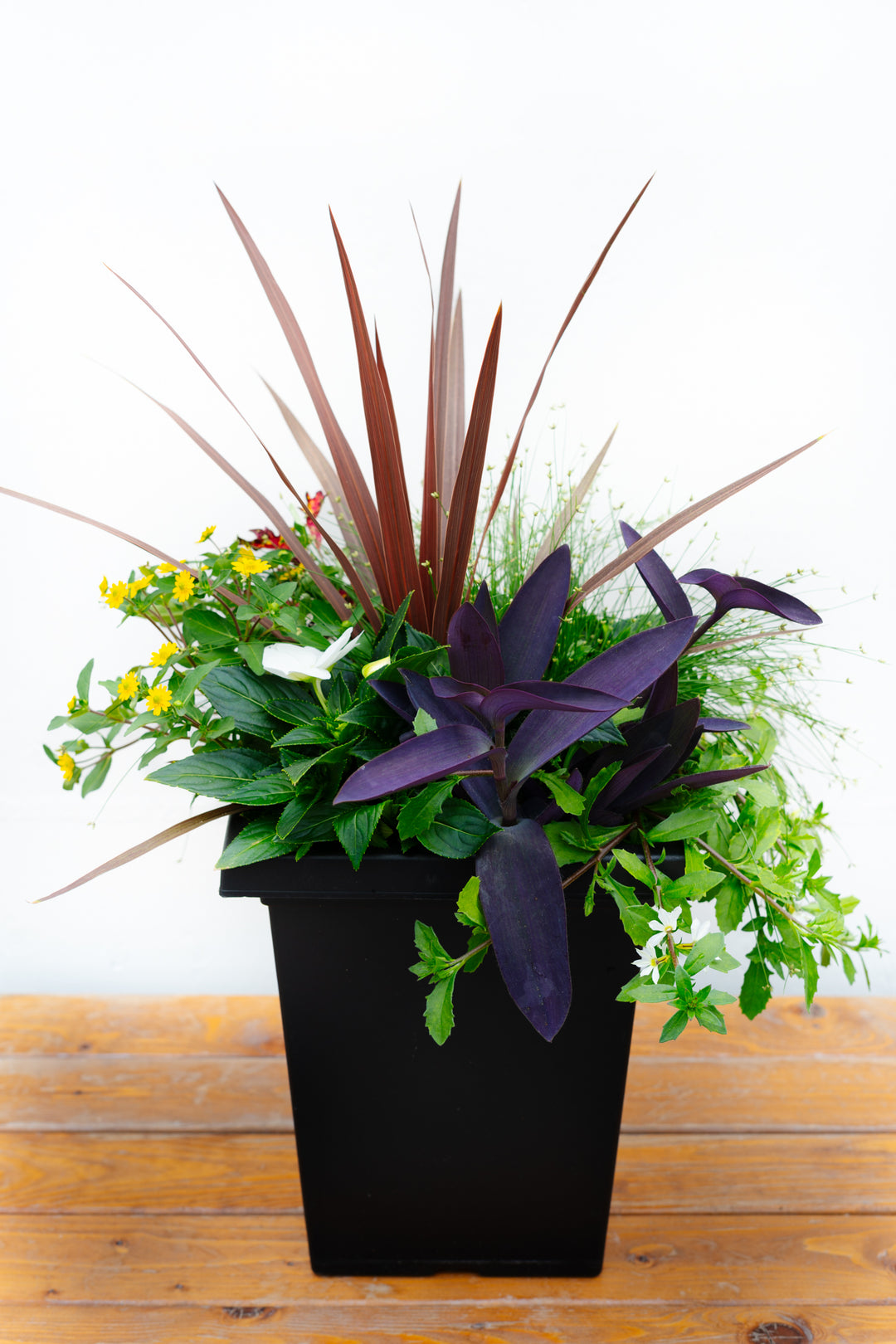 Seasonal Patio Pots – Anna's Garden, Home & Wellness