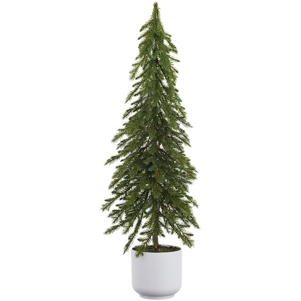28" Pine Tree In Plastic Pot – Anna's Garden, Home & Wellness