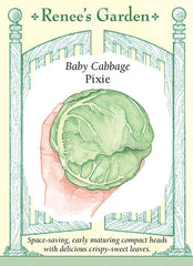 Cabbage Pixie Seeds – Anna's Garden, Home & Wellness