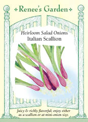 Onion Scallions Italian Seeds – Anna's Garden, Home & Wellness